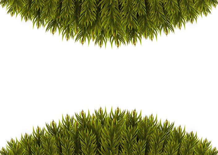 Christmas tree borders Royalty Free Vector Image