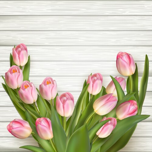 Happy easter spring postcard with tulips Vector Image