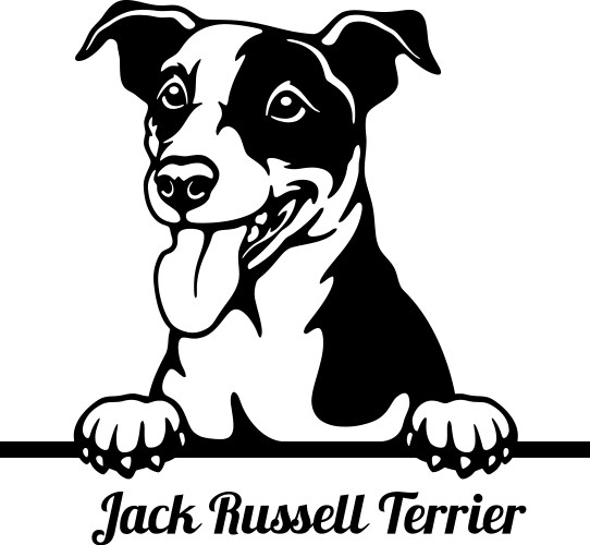 Jack Russell Terrier Logo Vector Images (over 120)