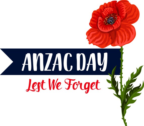 Anzac Poppy Remembrance Royalty Free Vector Image