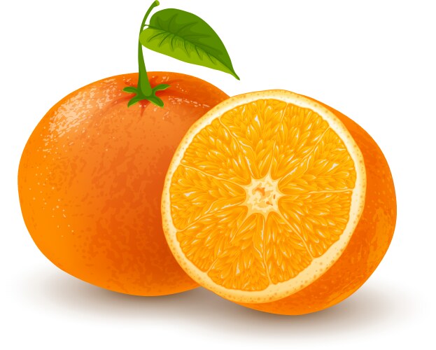 Two pairs of oranges fruit Royalty Free Vector Image