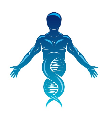 Human Being Vector Images (over 3,400)