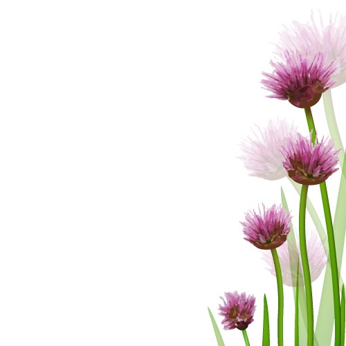 Flower Border Vector Images (over 240,000)