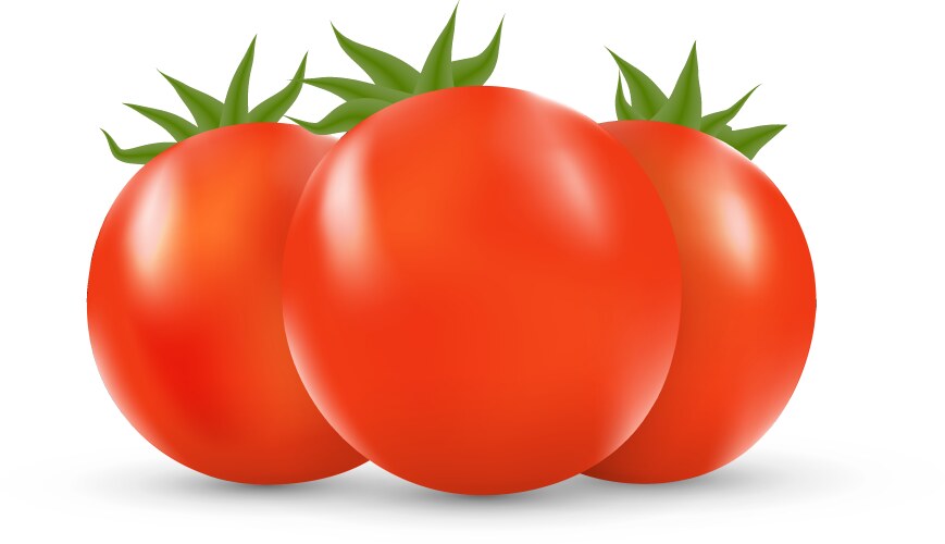 Tomato Vector Images (over 140,000)