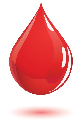 Drop of blood Royalty Free Vector Image - VectorStock