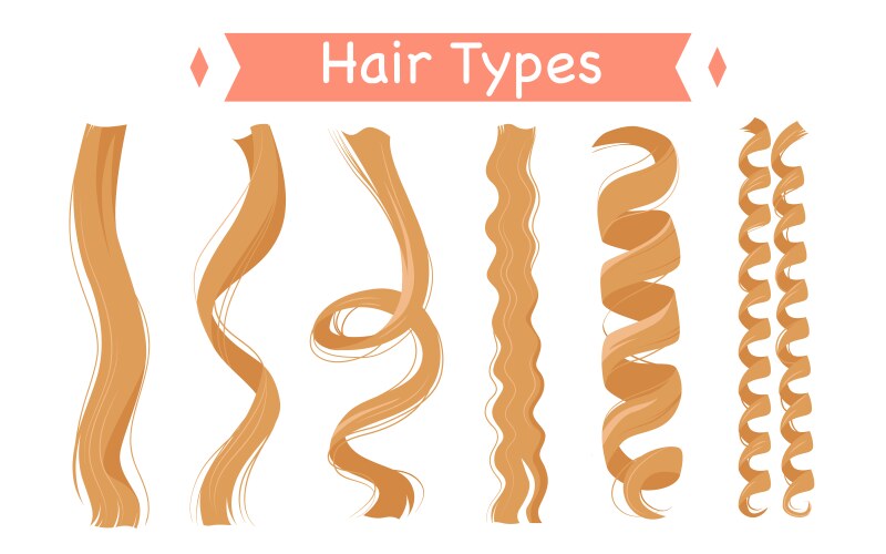 Hair Types Vector Images (over 3,900)