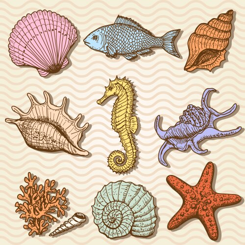 Sea hand drawn Royalty Free Vector Image - VectorStock