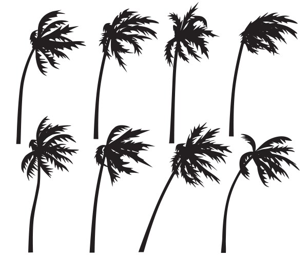 Storm Palm Trees Vector Images (over 420)