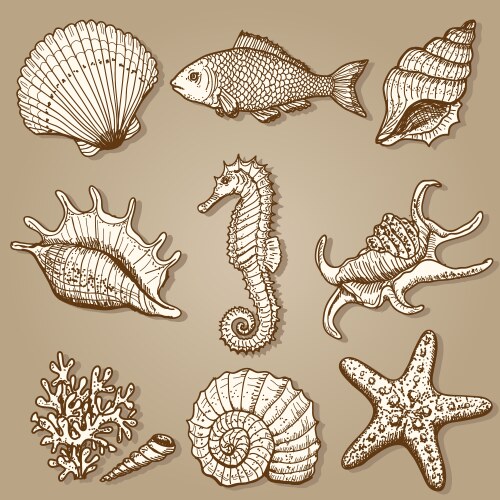 Sea hand drawn Royalty Free Vector Image - VectorStock