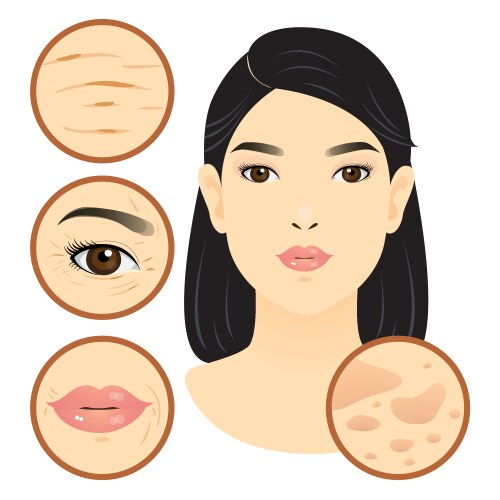 Two tone skin Royalty Free Vector Image - VectorStock