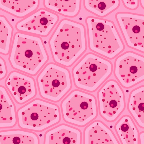 Basal Layer Vector Images (47)