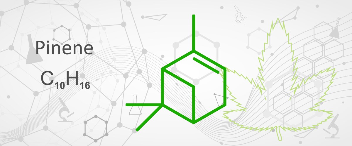 Ketone group structural chemical formula Vector Image