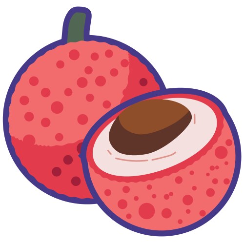 Lychee Vector Images (over 3,400)