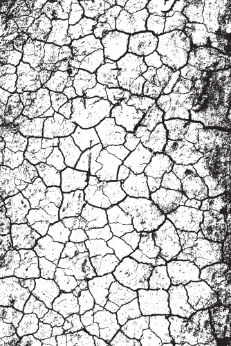 Dry cracked soil Royalty Free Vector Image - VectorStock