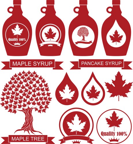 Maple syrup pattern orange Royalty Free Vector Image