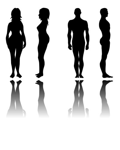 Human Body Side View Vector Images (over 2,600)