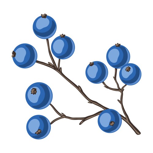 Dry branch Royalty Free Vector Image - VectorStock