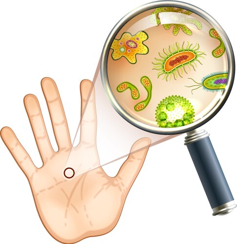 Bacteria in human hands Royalty Free Vector Image