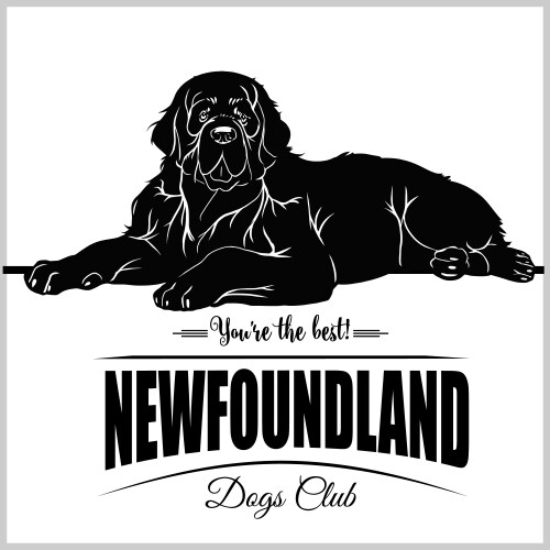 Jack Russell Terrier Logo Vector Images (over 120)