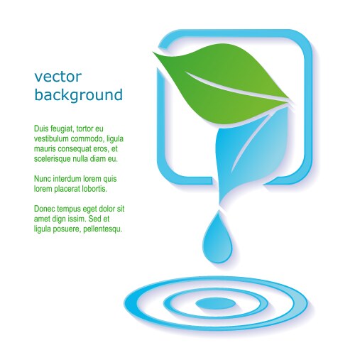 Beautiful leaf with water drop Royalty Free Vector Image