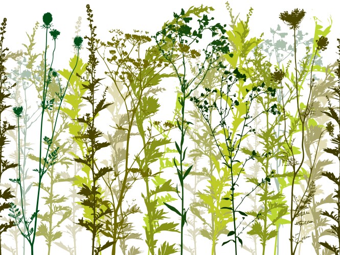 Weeds Vector Images (over 71,000)
