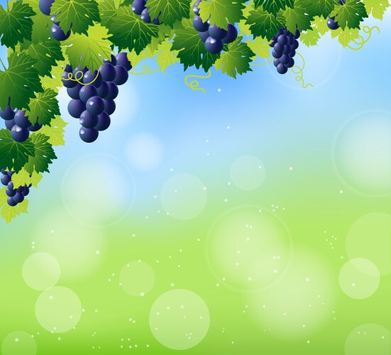 Corner Vine Vector Images (über 4,600)