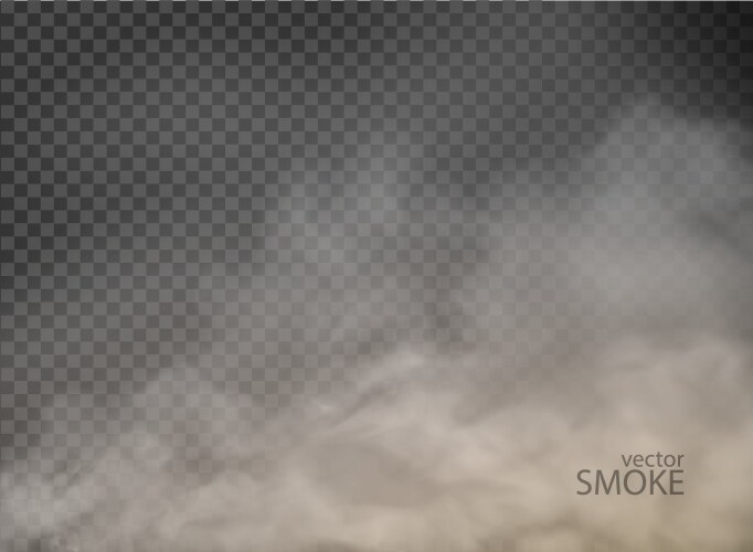 Fog and smoke isolated on transparent background Vector Image