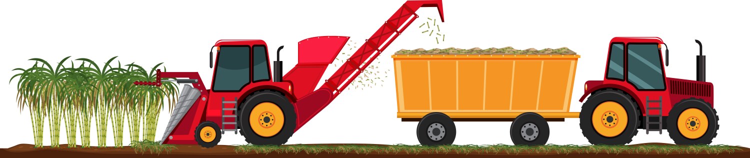 Farm harvesting sugar cane Royalty Free Vector Image