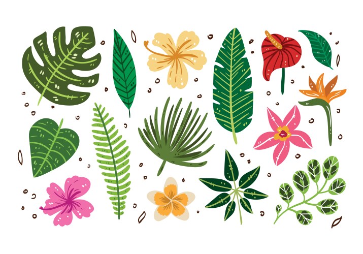 Set of cartoon tropical rainforest leaves Vector Image