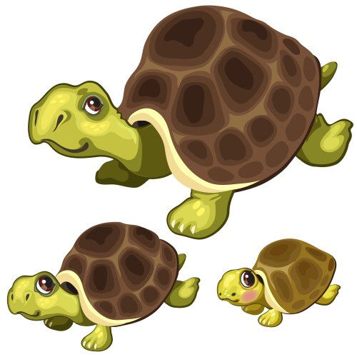 Turtle cartoon hiding in his shell Royalty Free Vector Image