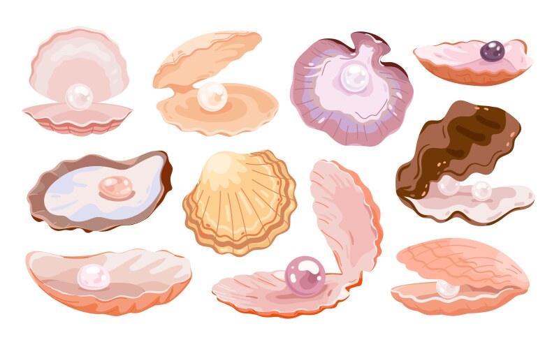 Oyster Pearl Vector Images (over 4,000)