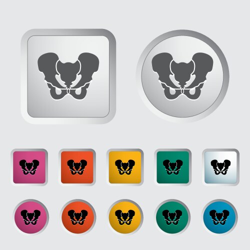 Groin Vector Images (over 860)