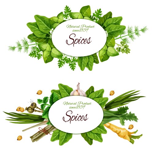 Indian Spices Vector Images (over 6,100)