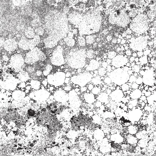 Rust Vector Images (over 27,000)