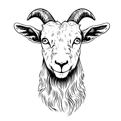 Cute farm goat portrait hand drawn sketch Vector Image