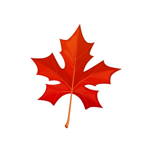 Maple Leaf Cartoon Vector Images (over 10,000)