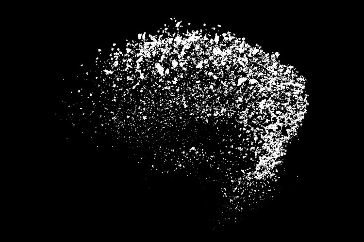 White splashes isolated on black background Vector Image