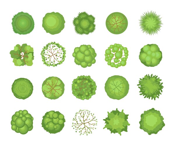 Tree Plan Vector Images (over 10,000)