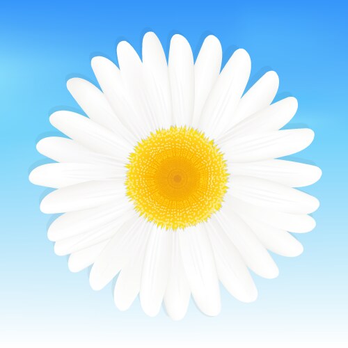 Daisy Vector Images (over 83,000)