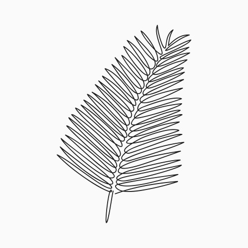 Palm Leaf Line Drawing Vector Images (over 7,400)