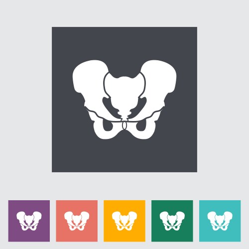 Groin Vector Images (over 860)