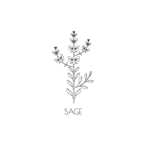Symbols for Sage Vector Images (over 1,300)