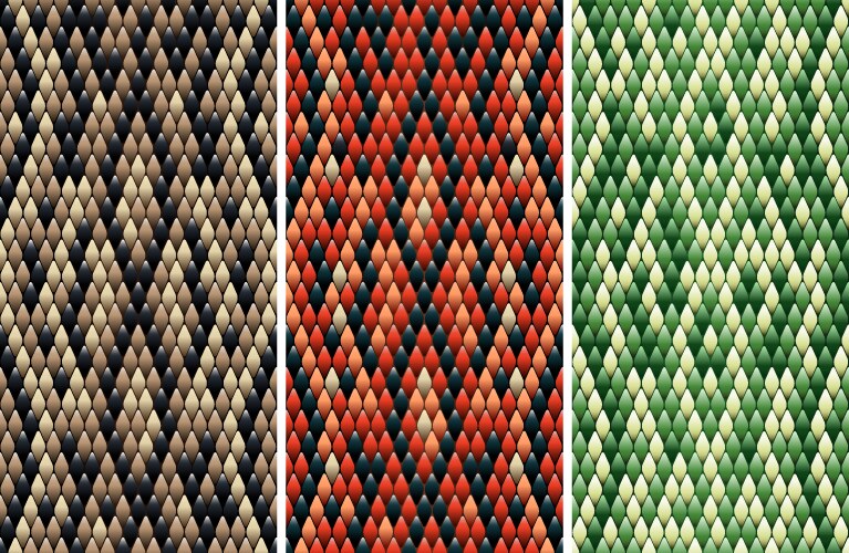 Snake Skin Pattern Vector Images (over 3,400)