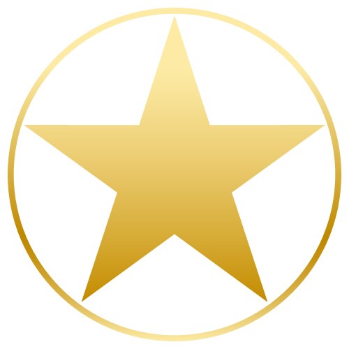 Golden star simple form black background Vector Image