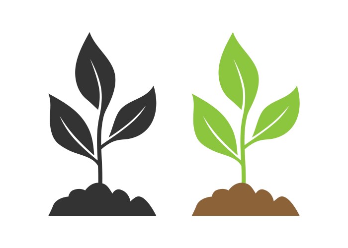 Seedling Vector Images (over 33,000)