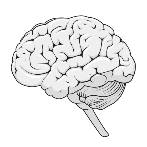Medical Schematic Brain Vector Images (91)