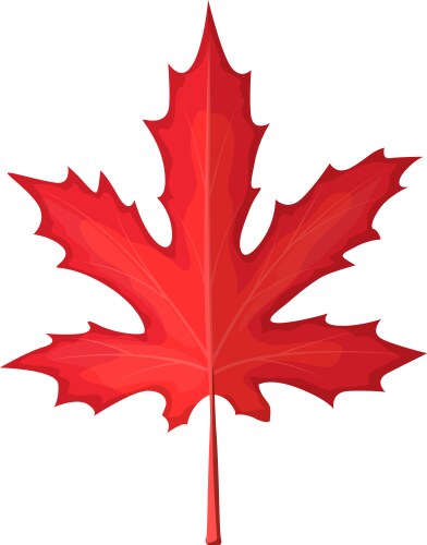 Autumn red leaf Royalty Free Vector Image - VectorStock