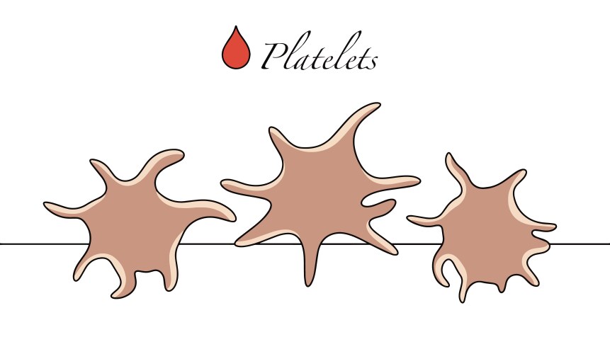 Blood Platelet Vector Images (over 1,800)