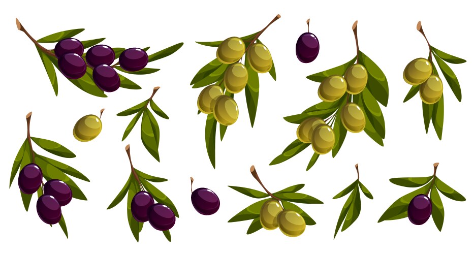 Olive Cartoon Vector Images (over 10,000)