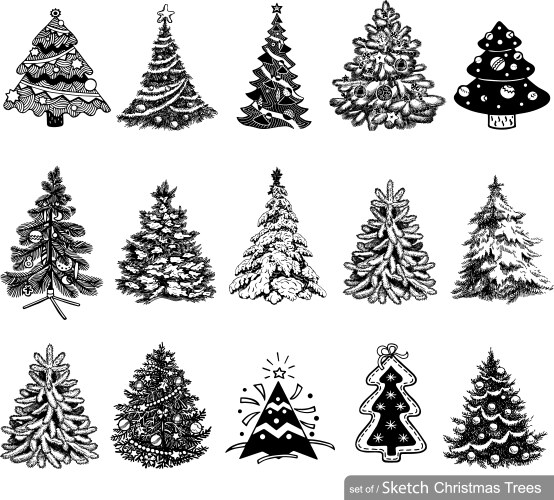Christmas Tree Sketches Royalty Free Vector Image